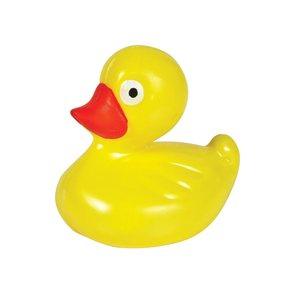 Floating Plastic Ducks (DZ)