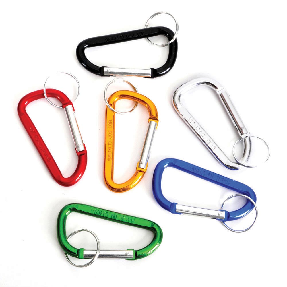 Carabiner Keychain Assortment 2" (DZ)